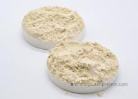China Natural Wheat Protein Powder Food Ingredients Nutrition Enhancers for sale