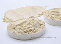 China No GMO Bread Baking Powder Gluten , Food Industry Wheat Protein for sale
