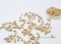 China Dried Wheat Gluten Pellet For Nutrition Ingredient In Feedstuff for Aquaculture for sale