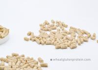 China Wheat protein pellet for feed nutrition for eel, shrimp, salmon and so on for sale