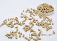 China Wheat Gluten Pellet for Feed of Aquaculture 82.2% Min Of Protein Content for sale