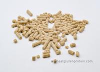 China Aquaculture Feedstuff Nutrition Enhancers Wheat Gluten Pellet Protein for sale