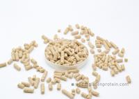 China Natural Wheat Gluten Pellets For Feedstuff of Aquaculture In Bulk Package for sale