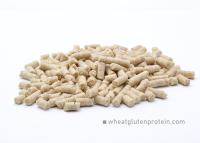 China Marine Farm Use Pellet Protein Wheat Gluten, Feedstuff Ingredient for sale