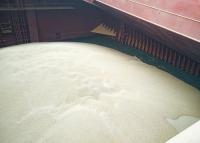 China Pellet Wheat Gluten Protein For Freshwater Aquaculture and Marine Aquaculture for sale