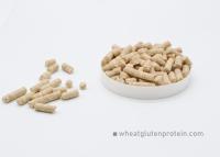 China Water Insoluble Wheat Gluten Feed Pellets No GMO Commercial Fish Feed Additive for sale