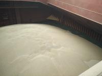 China Water Insoluble Wheat Gluten Feed Pellets No GMO Commercial Fish Feed Additive for sale
