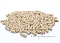 China No GMO Wheat Gluten Pellet protein, Slightly Yellowish No Smell 4mm Pellets for sale