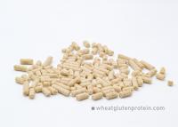 China Eel / Shrimp / Salmon Feedstuff Nutrition Wheat Gluten Feed Pellets for sale