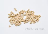 China Cylindrical Pellet Nx5.7 75% Premium Vital Wheat Gluten Pellet for sale