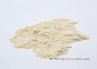 China Bakery Additive Vital Wheat Gluten Versatile Binding Agent For Recipes And Baked Goods for sale