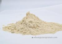 China Vital Wheat Gluten The Insoluble Protein For Improved Texture And Elasticity In Dough For Baking And Cooking for sale