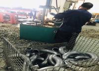 China Alloy 1815 1.4361 F46 S30600 Reducing Pipe Tee for sale