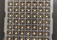 China LM-80 ROHS 9W Blue High Power COB LED 90 Degree 450-460nm for High Bay Light for sale