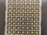 China 10W High Power White COB LED 900-1100lm 850mA Forward Current for High Bay Light for sale