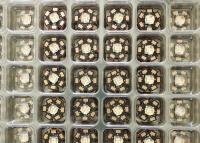 China 9W High Power Blue LED 450-460nm 800mA 12-14V 90 Degree for UV Module for sale
