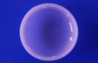 China 180mm Diameter PC Cover with Silicone Gasket for 300W-500W LED High Bay Light for sale