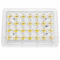 China 28W LED Street Light Module PC Optical Lens Retrofit Kit for Road Lamp 90x120° for sale