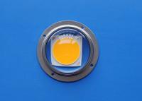 China 93-115W COB LED CXB3590 36V 3000K 3500K CRI80 for Grow Lighting with Holder and Reflector for sale
