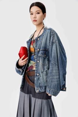 China Autumn And Winter New Jiangnan Fabric Denim Jacket , Gray Tone Architectural Style Pleated Long Skirt for sale