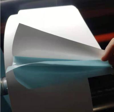 China Double Liner Adhesive Label Material with 3 Facestock Options and Multiple Glassine Liner Types for Industrial Applications for sale