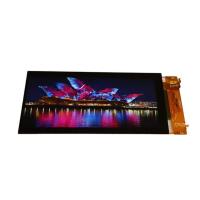 China LCD197-050NTL0NCNTTR1.0 for sale