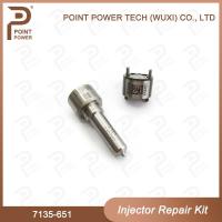 China Delphi 7135-651 Injector Repair Kit for R02201Z with Nozzle L121PBD and Control Valve 28239294 for sale