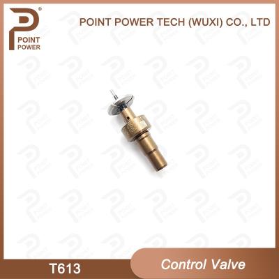 China T613 Bosch Common Rail  Control Valve Applied 0445110551 for sale