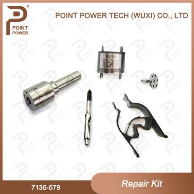 China Delphi Common Rail Injector Repair Kit 7135-579 with L375PRD Nozzle and 28264094 Valve for sale