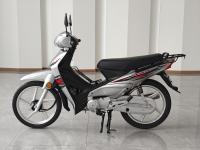 China YH110T-2 CUB 110cc Dual-Clutch Honda Suzuki Yamaha Bajaj TVS for sale