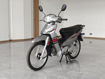 China YH110T-2 CUB 110cc Dual-Clutch Honda Suzuki Yamaha Bajaj TVS for sale