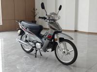 China YH110T-2 CUB 110cc Dual-Clutch Honda Suzuki Yamaha Bajaj TVS for sale