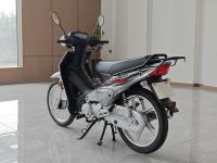 China YH110T-2 CUB 110cc Dual-Clutch Honda Suzuki Yamaha Bajaj TVS for sale