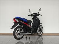 China YH110T-1 CUB 110cc Dual-Clutch Honda Suzuki Yamaha Bajaj TVS for sale