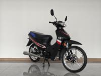 China YH110T-1 CUB 110cc Dual-Clutch Honda Suzuki Yamaha Bajaj TVS for sale