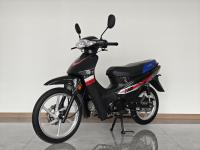 China YH110T-1 CUB 110cc Dual-Clutch Honda Suzuki Yamaha Bajaj TVS for sale