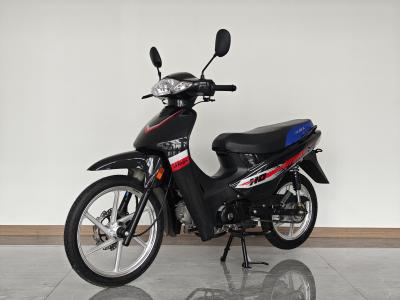 China YH110T-1 CUB 110cc Dual-Clutch Honda Suzuki Yamaha Bajaj TVS for sale