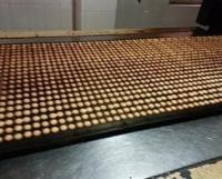 China Transmission Cakes Carbon Steel Conveyor Belt Biscuit Flat for sale