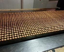China Transmission Cakes Carbon Steel Conveyor Belt Biscuit Flat for sale