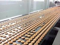 China Baking Oven Carbon Steel Conveyor Belt Cold Rolling for sale