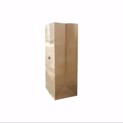 China Foldable Flat Heavy Duty Brown Paper Lawn And Refuse Bags For Garden Professionals for sale