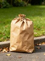 China Natural Brown Kraft Paper Liner Moderate Moisture Resistance Customizable Length Biodegradable Eco Friendly For Protective Wrapping for sale