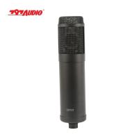 China ATCR02 Muiti-directional Patterns Vacuum Tube Condenser Microphone 797Audio 20 Kids Bluetooth Speaker 128 for sale
