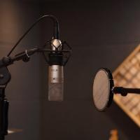 China 797AUDIO ACR01 Large Diaphragm XLR Condenser Microphone Gold Metal Wired Mic for Audio for sale
