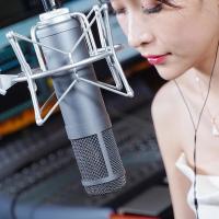 China Customized 797Audio ATCR03 87 Condenser Interview Recording Microphone for Electronics for sale