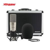 China 797Audio ACR01 OEM ODM Professional Condenser Microphone Studio Microphone for Recording for sale