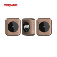 China 797Audio AWCR01 2.4G Hz Professional 2 Channel Wireless Microphone for Iphone Vlog condenser microphone for sale