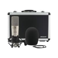 China 797Audio ACR01 Studio Recording Electric Condenser Microphone Metal Kids Professional for sale