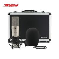 China 797Audio ACR01 3-pin XLR Vocal Large Diaphragm Cardioid Condenser Microphones with Shock Mount for sale