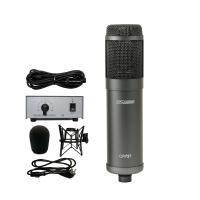 China 797AUDIO ATCR02 Professional Studio Professional Large Diaphragm Condenser Microphone Vacuum Tube Microphone for sale